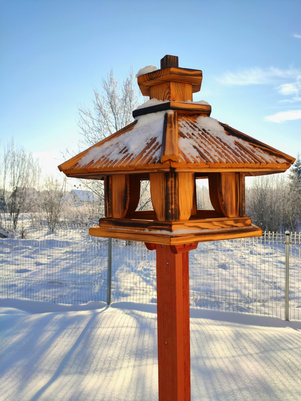 Paukščių lesyklėlė "Karietaitė" • 4IQ