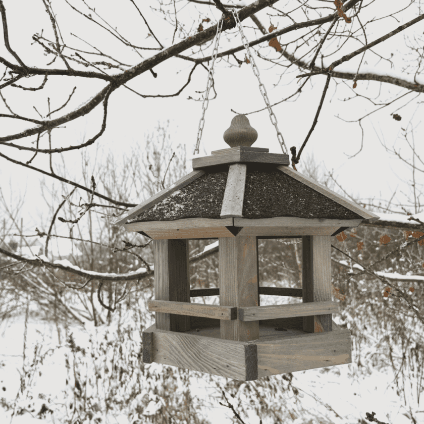 Lesyklėlės ir inkilai • 4IQ