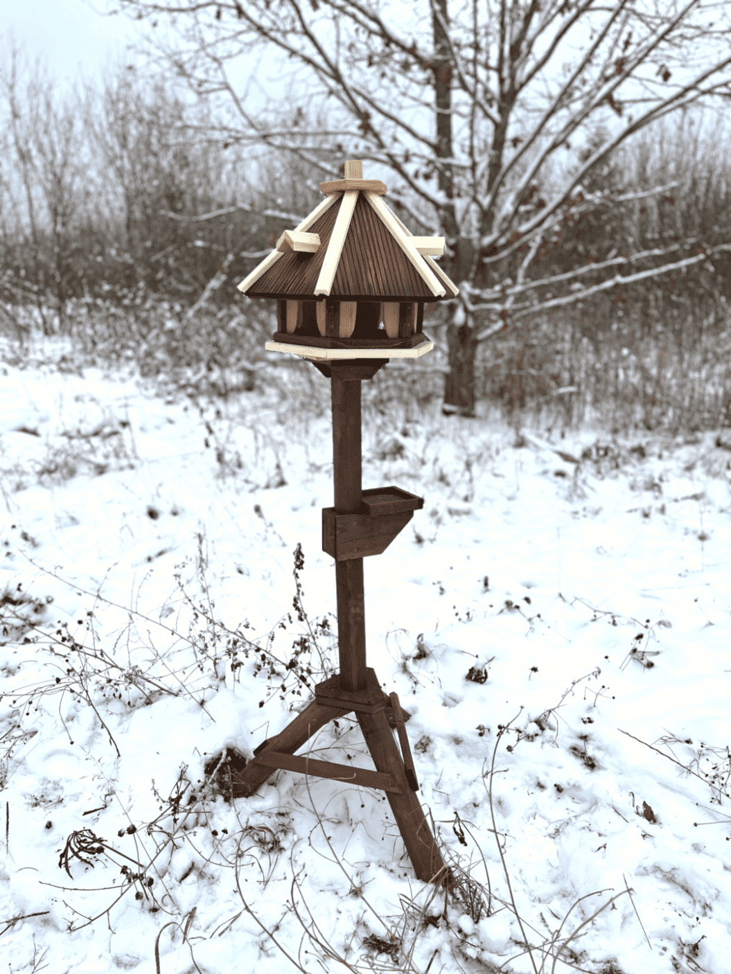 Paukščių lesyklėlė "Margasnapis" • 4IQ